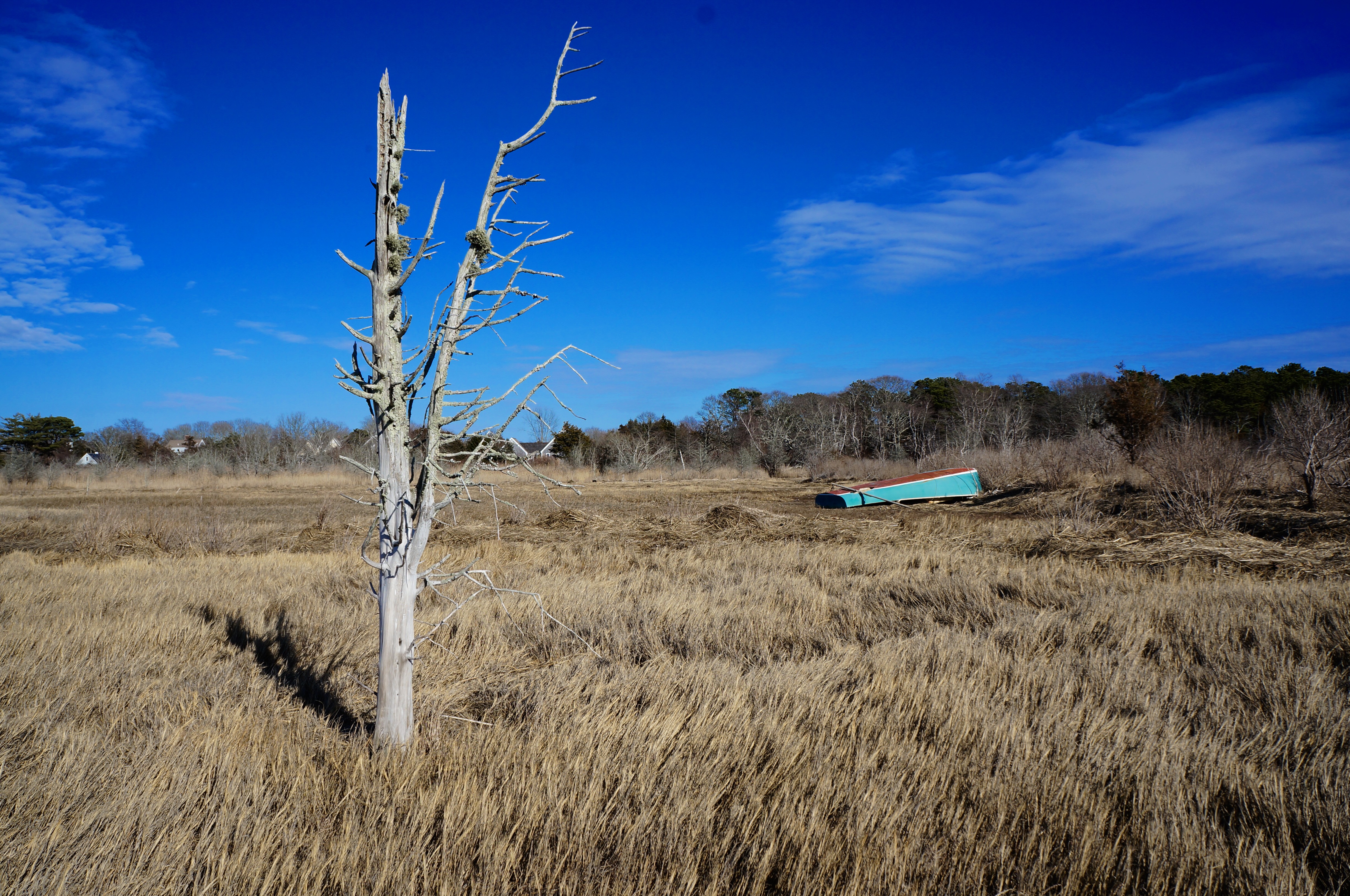 Secluded Cape Cod – Page 3 – Helping you explore the hidden natural ...