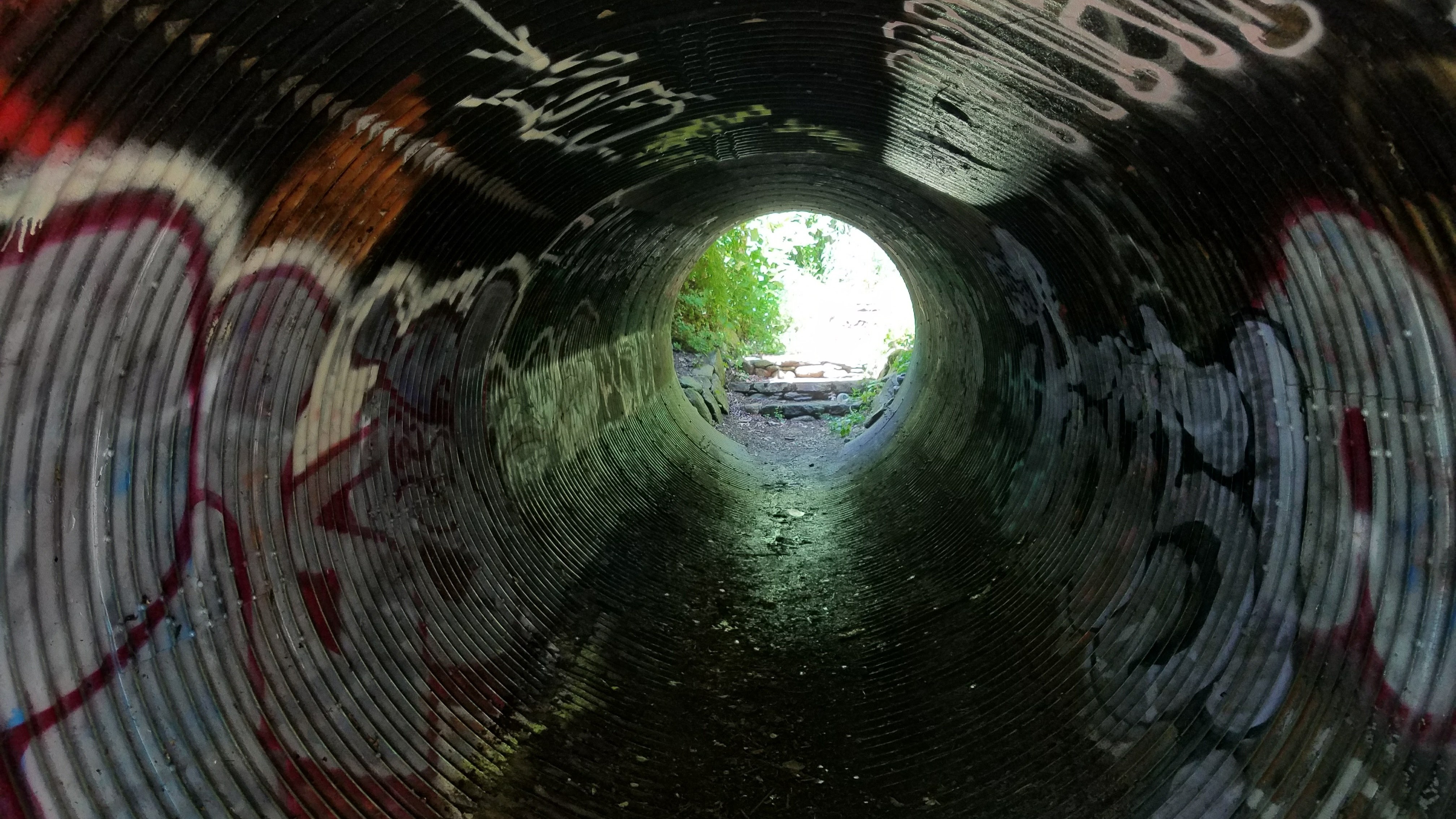 Danforth Trail, A Cow Tunnel on the way to the lake. – Secluded Cape Cod