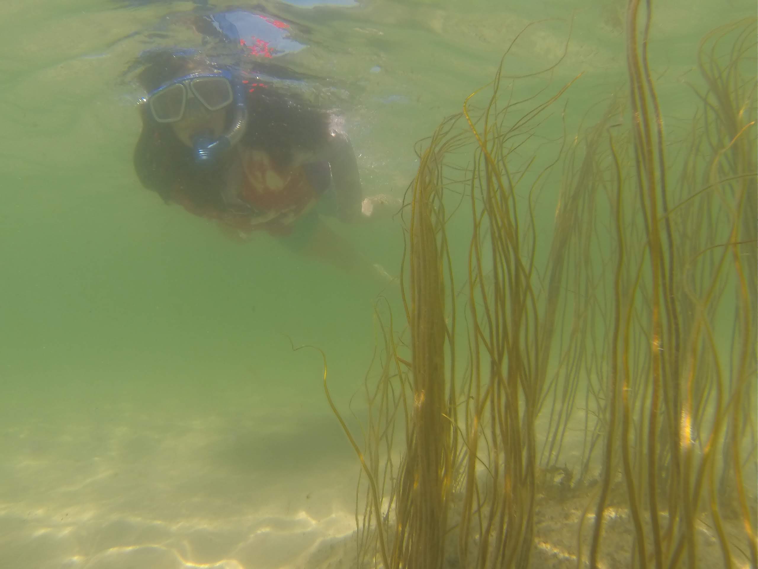 Cuttyhunk Island a Secluded Boating Adventure – Secluded Cape Cod